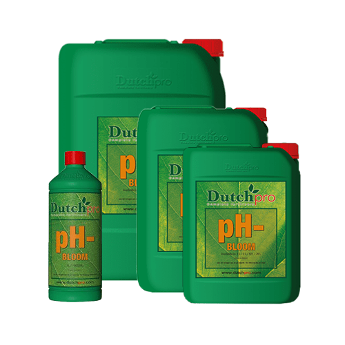 Dutch Pro PH Down Bloom