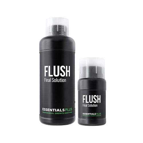 ESSENTIALS PLUS Flush