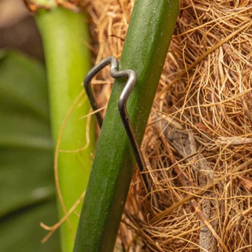 BetterGrow Mossing Pins