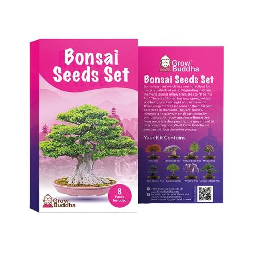 Grow Buddha - 8 Bonsai Seeds Set
