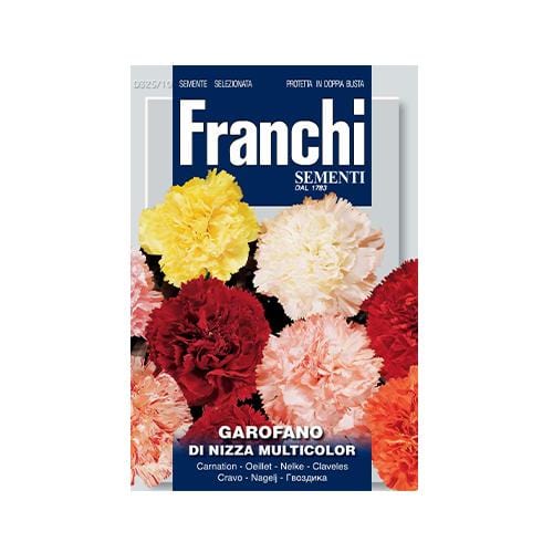 Carnation Di Nizza Garofano Seeds